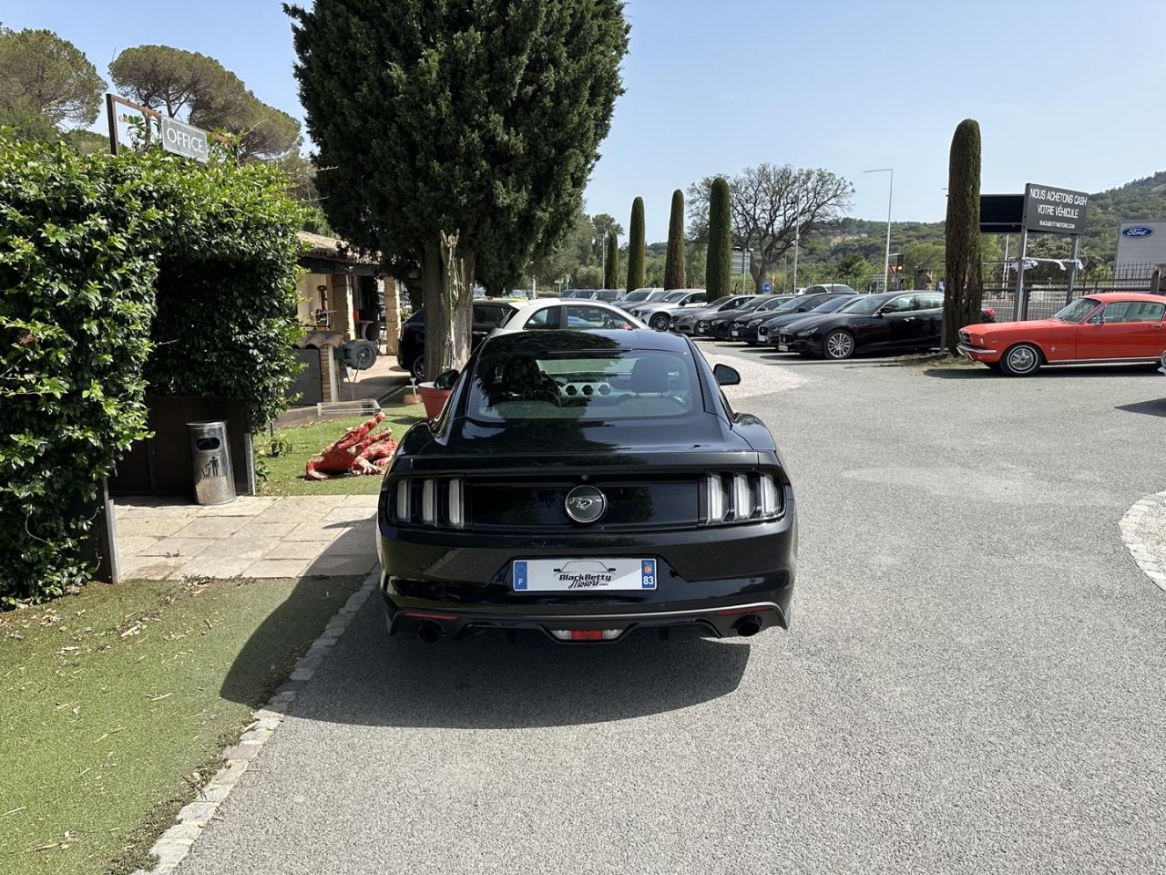 BlackBetty Motors - FORD-MUSTANG-Mustang Fastback 2.3 EcoBoost - 317